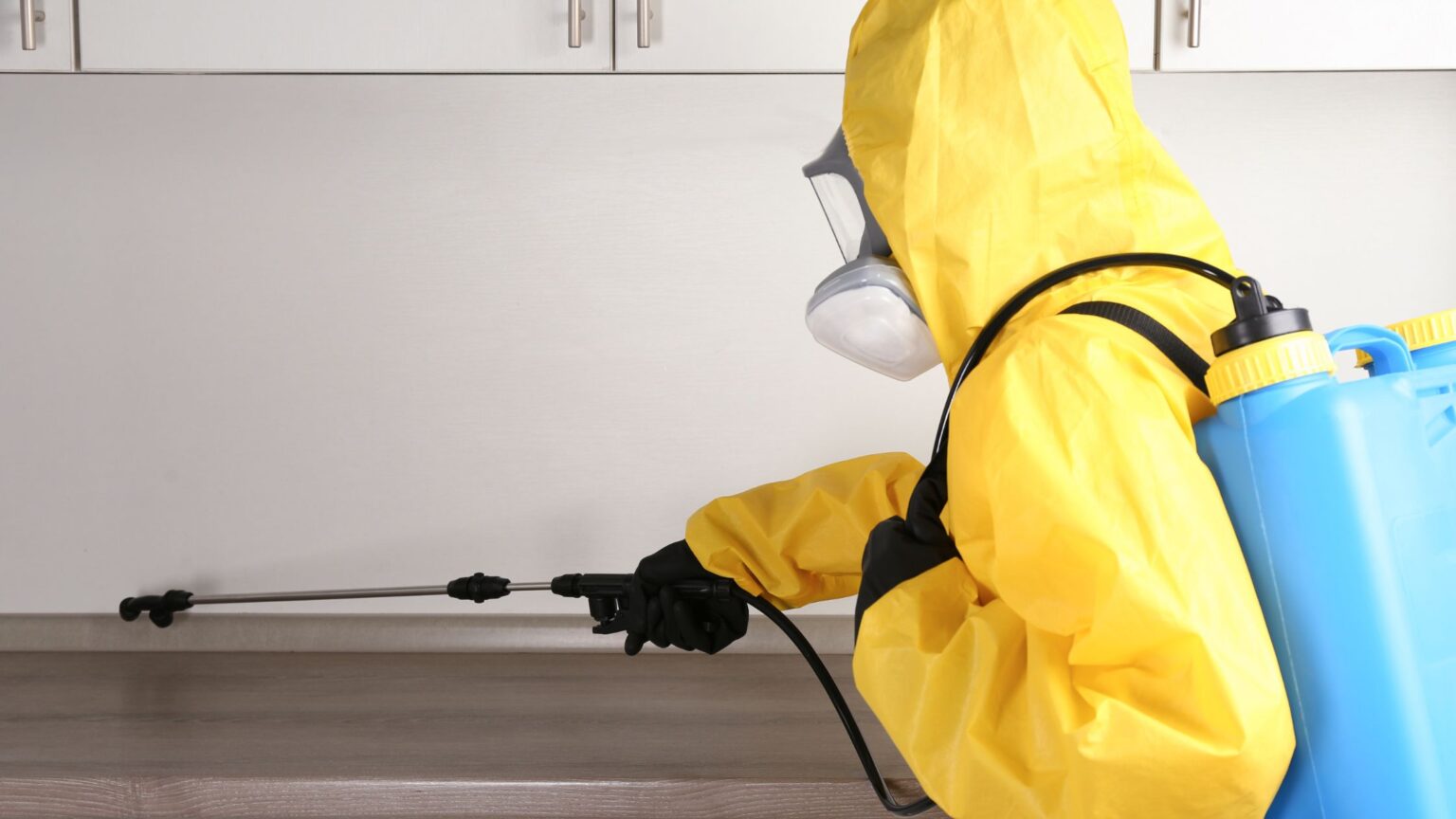 Radon Risk After Pest Control: What Homeowners Should Do Next - Dsmradon