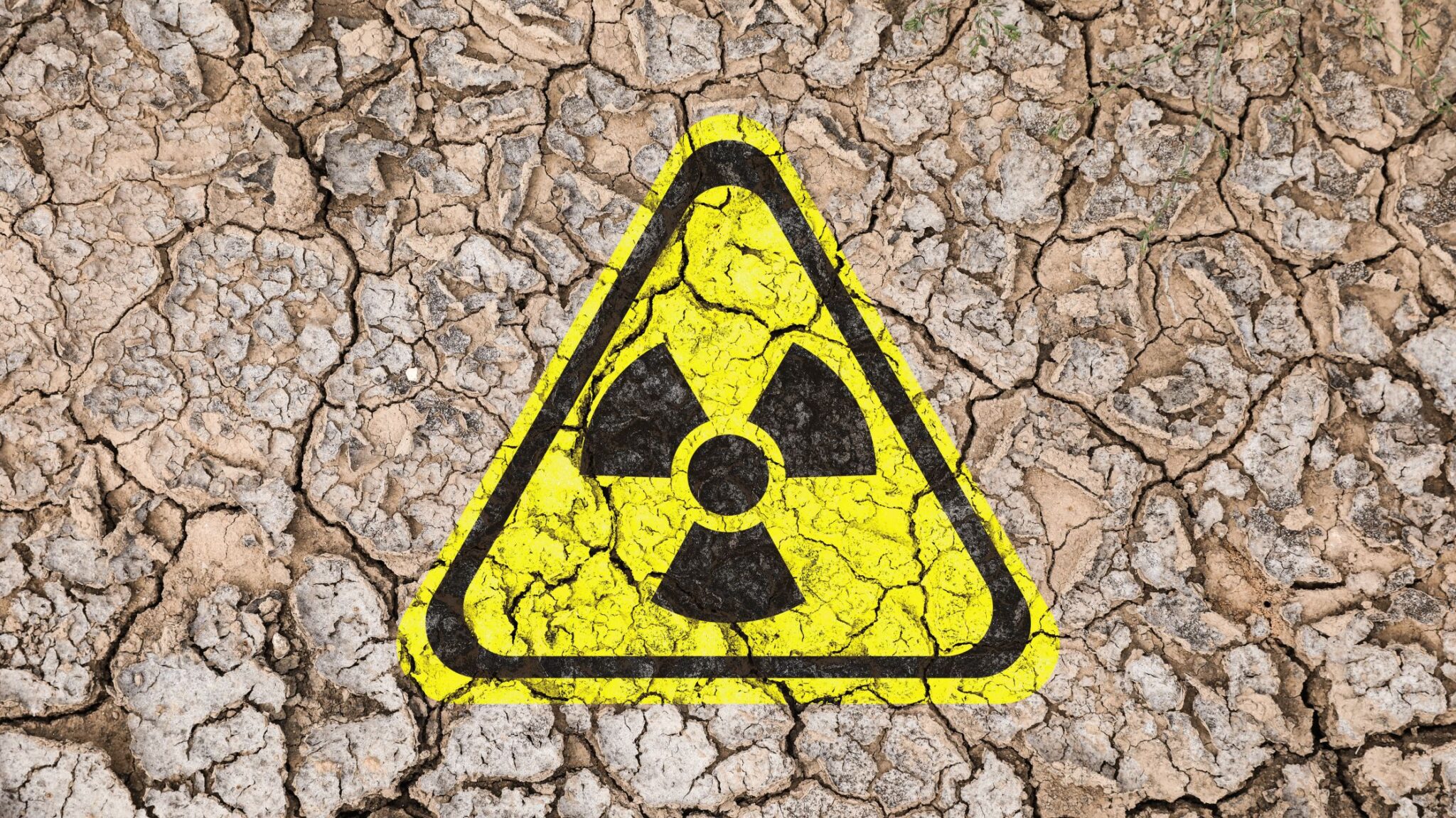 Radium vs. Radon: Understanding the Key Differences and Health Risks ...